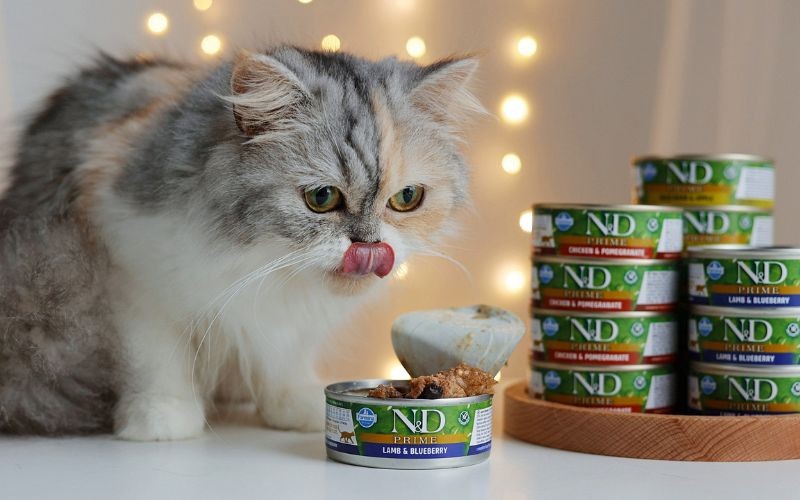 Farmina Pet Foods - Genius tips - Debunking common myths about wet food