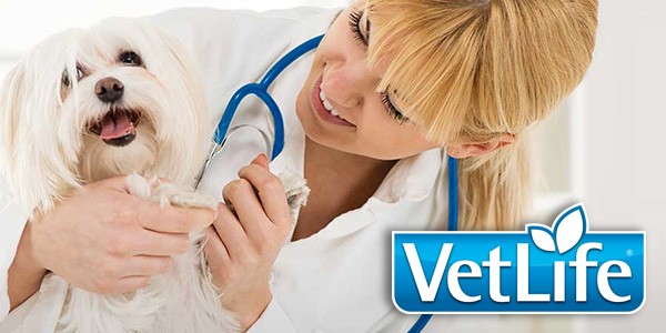 Farmina Pet Foods - Alimenti per cani